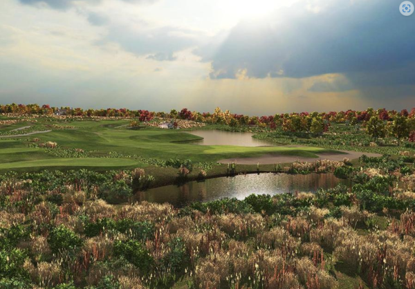 E6 Connect Golf Simulation Software - SwingSense